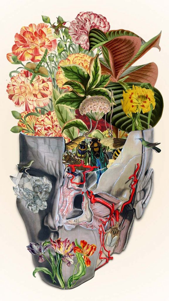 Travis Bedel' mad collage — Cercle