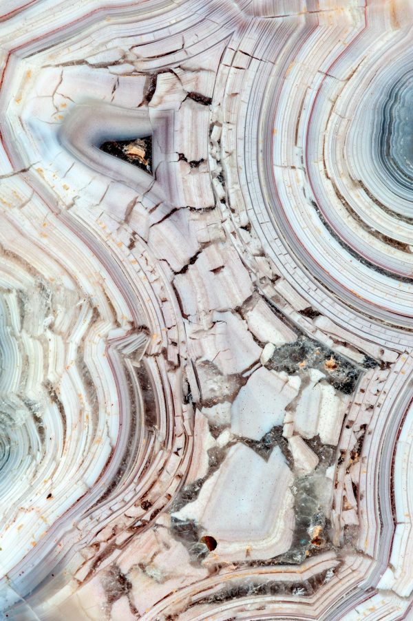 Thomas Shearer's mineral world — Cercle