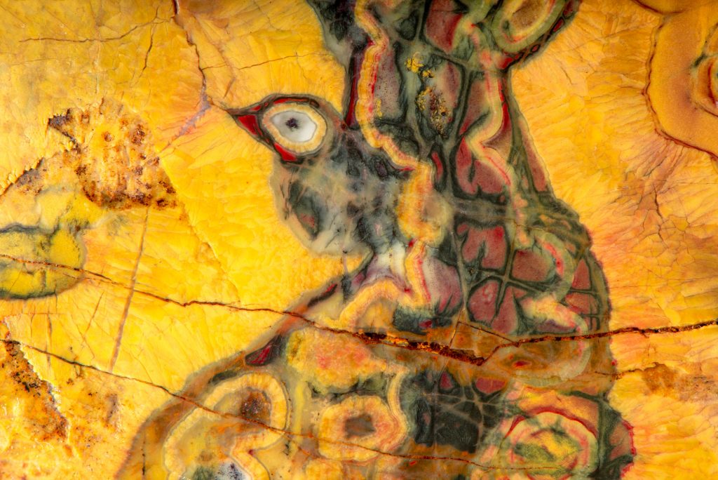 Thomas Shearer's mineral world — Cercle