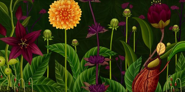 “A Story of Flowers”: the flower life cycle by florist artist Azuma ...