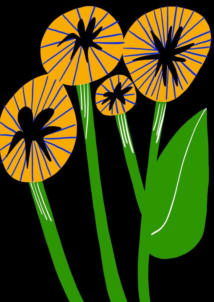 The graphic and minimalist flowers of Marcello Velho’s garden — Cercle