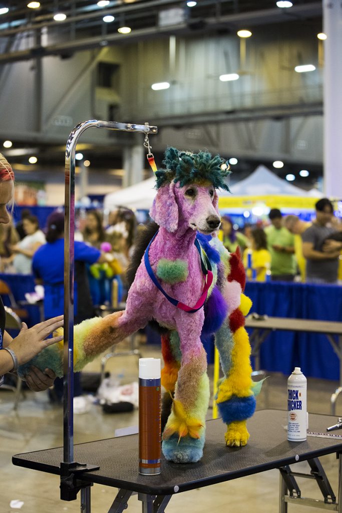 Exploring self-representation in the US by Manon Boyer — Cercle